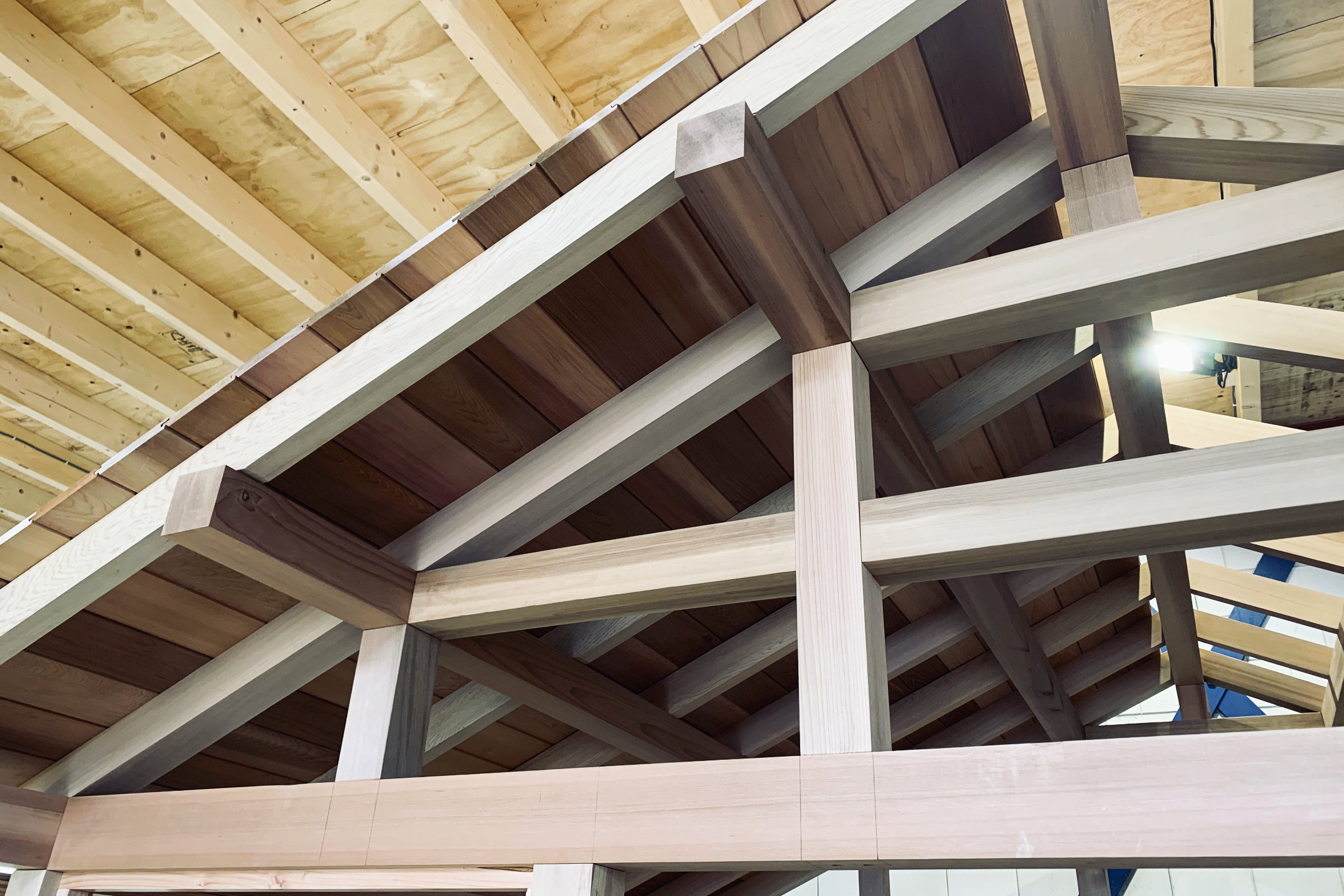 Japanese Garden House, Chashitsu Tea Room Interior Project